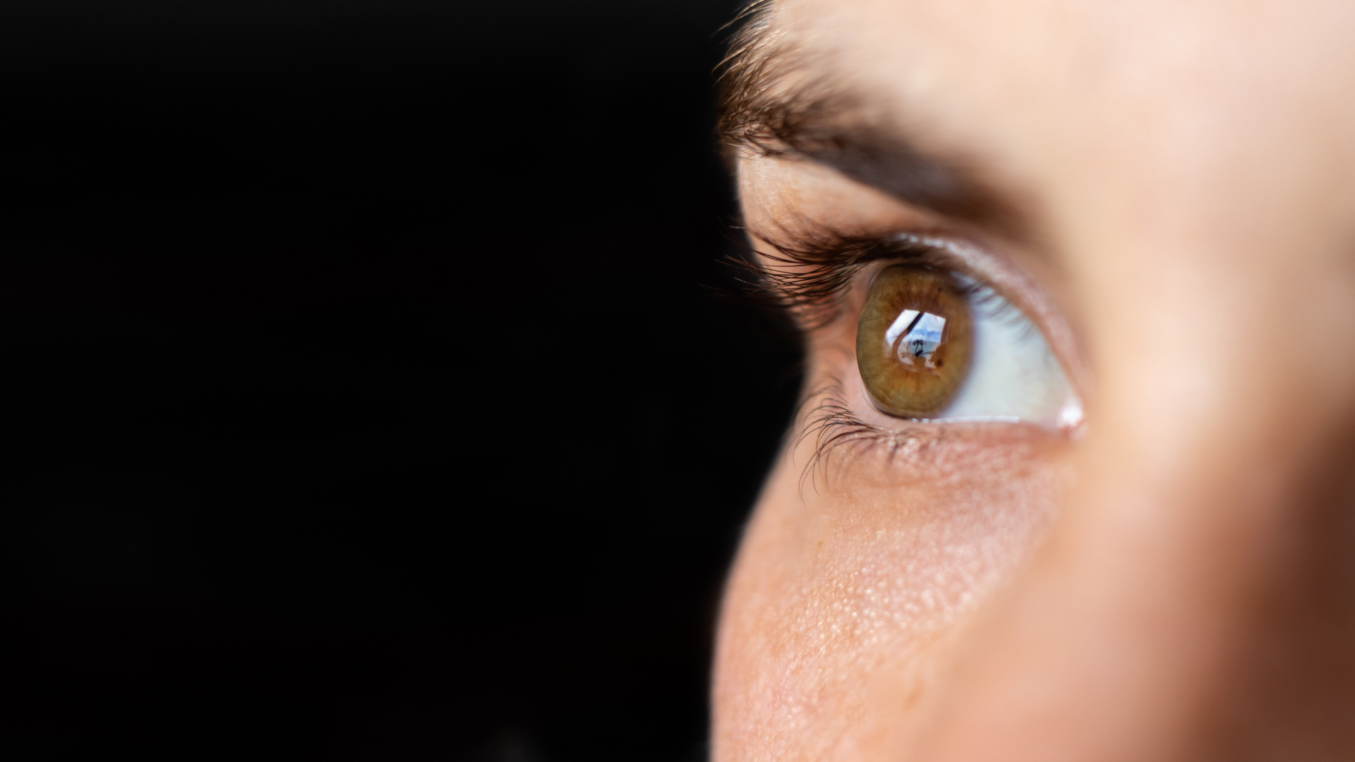 Blog: Demodex Mites and Your Eyes: What You Need to Know - The Harley ...